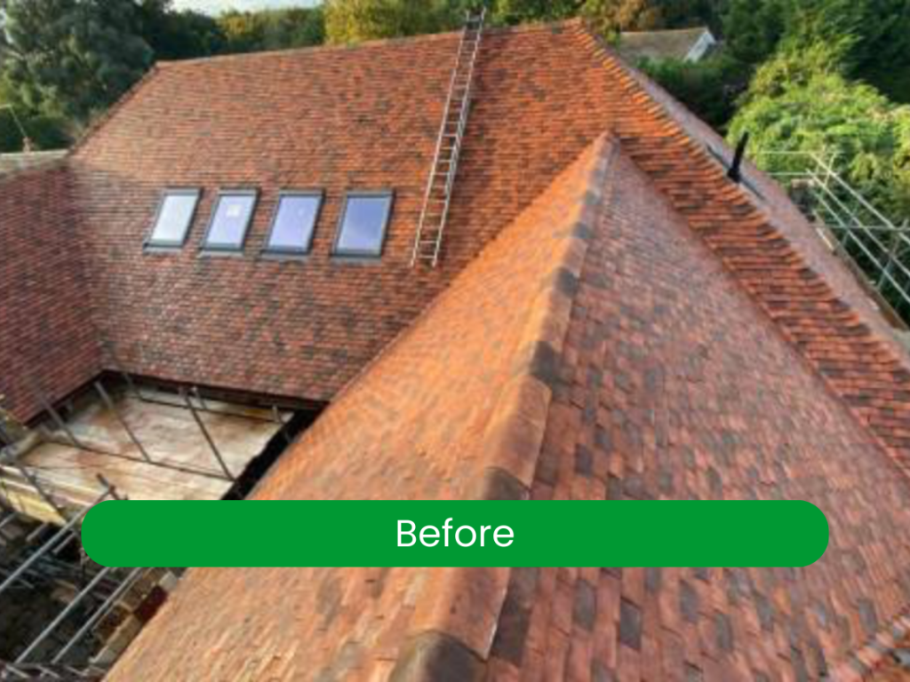 EcoSeal's Roof Coating Solutions: The Ultimate Enhancement for Your ...