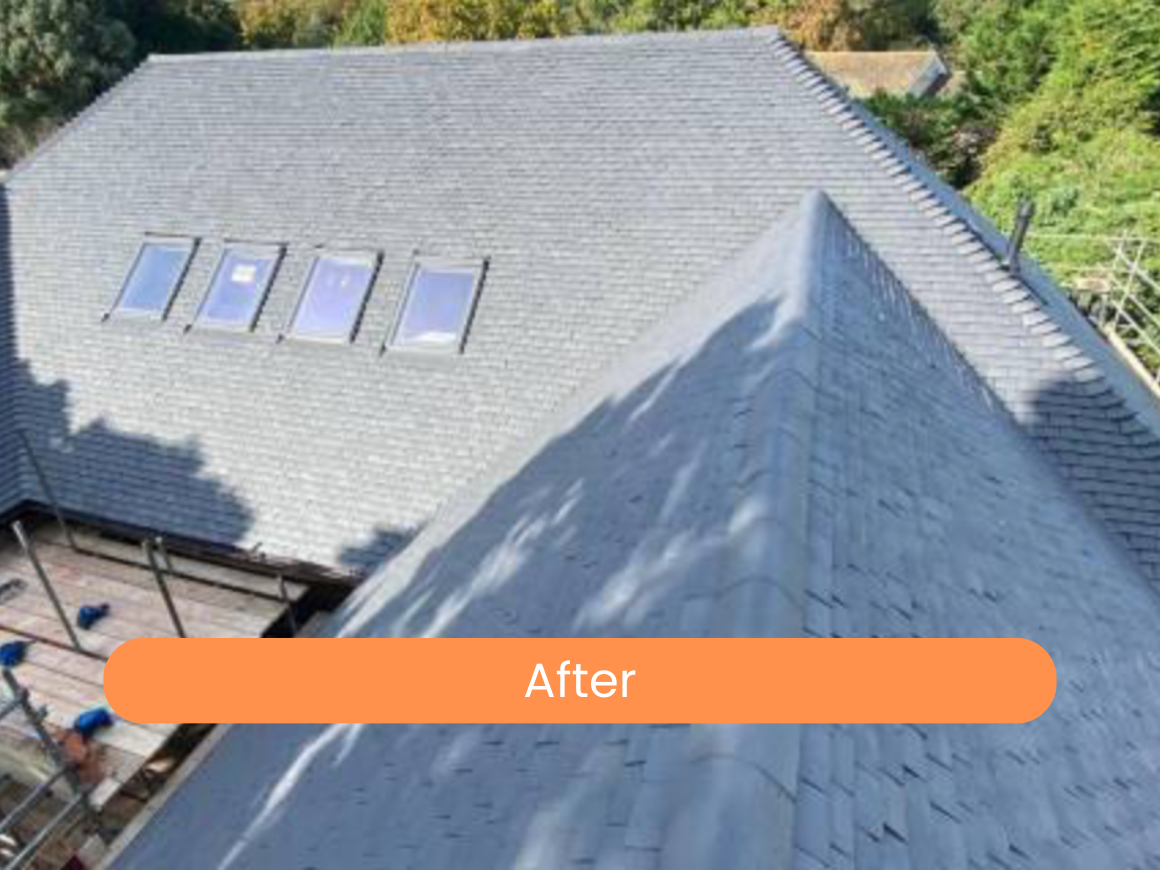 EcoSeal's Roof Coating Solutions: The Ultimate Enhancement for Your ...